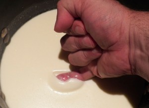 Home-Made Cheeses | from the Bartolini kitchens