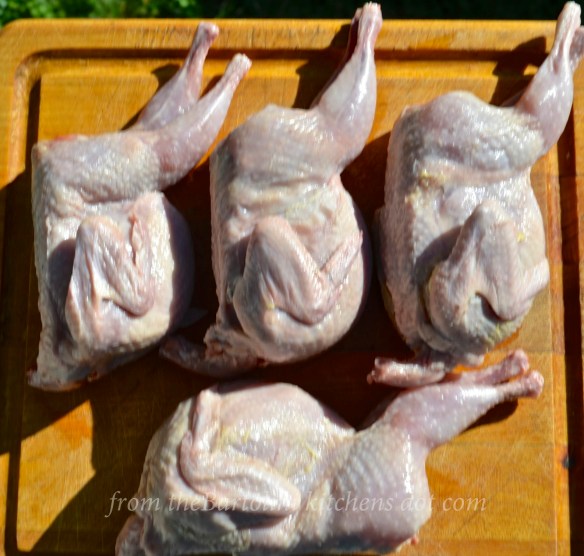 Stewed Quail | from the Bartolini kitchens