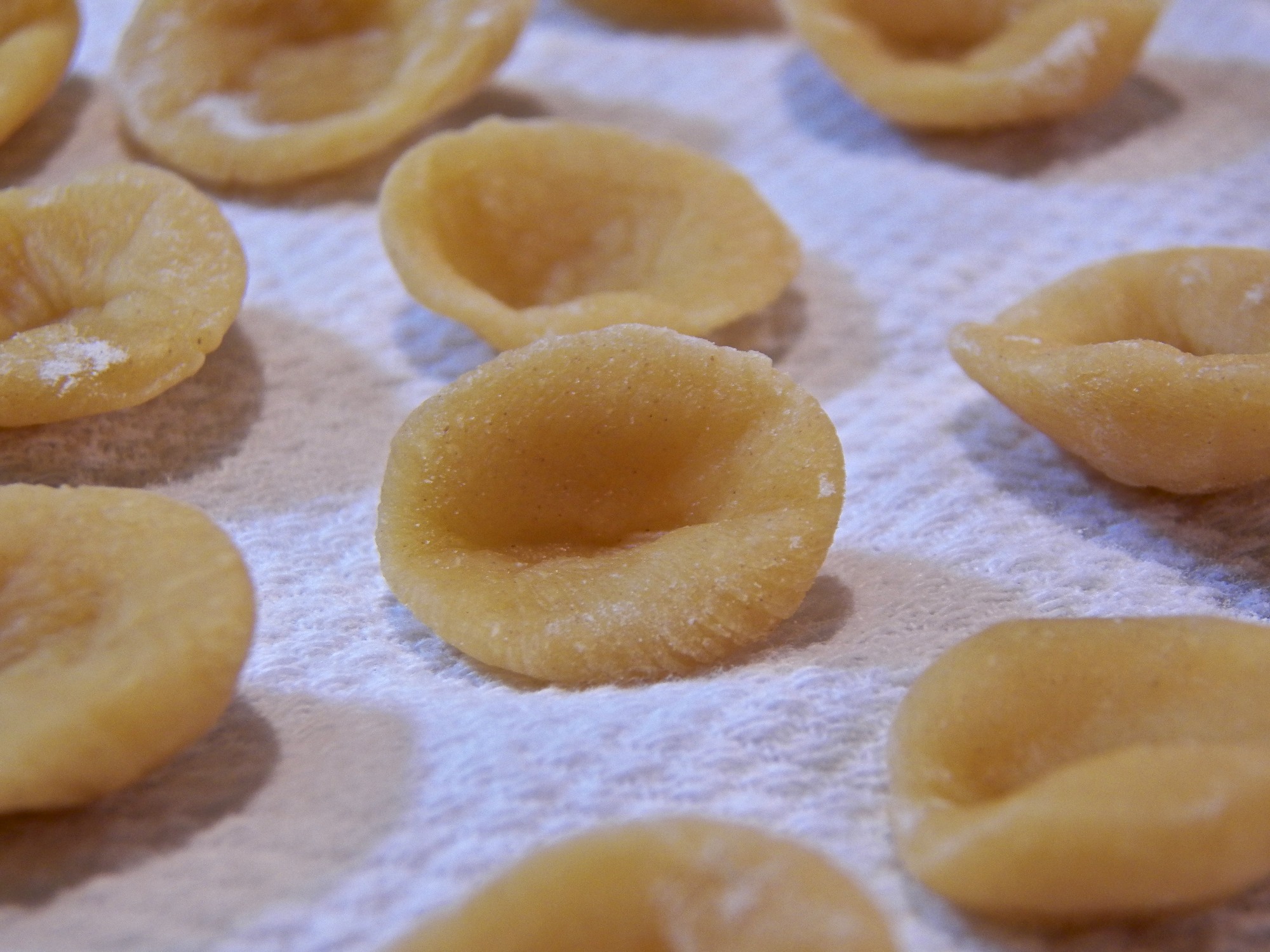 Hand-Made Pasta | from the Bartolini kitchens