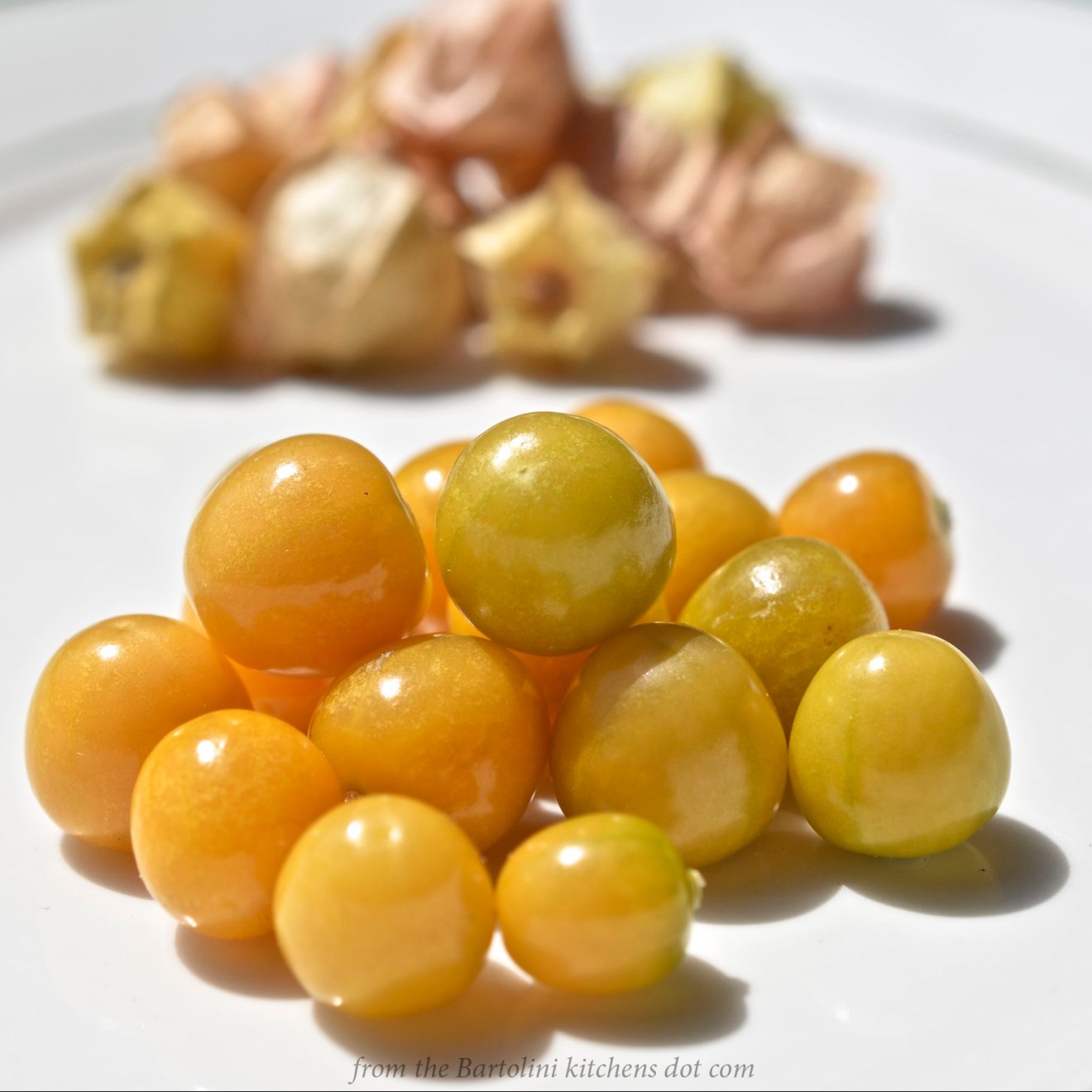 Ground Cherry Jam | from the Bartolini kitchens